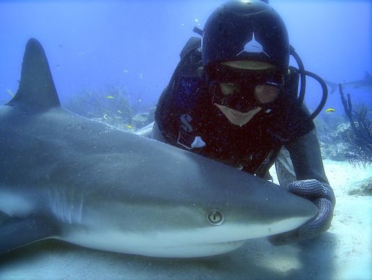 Smithsonian's 'Shark Girl' Dives Deep Into Conservation - The Ocean ...