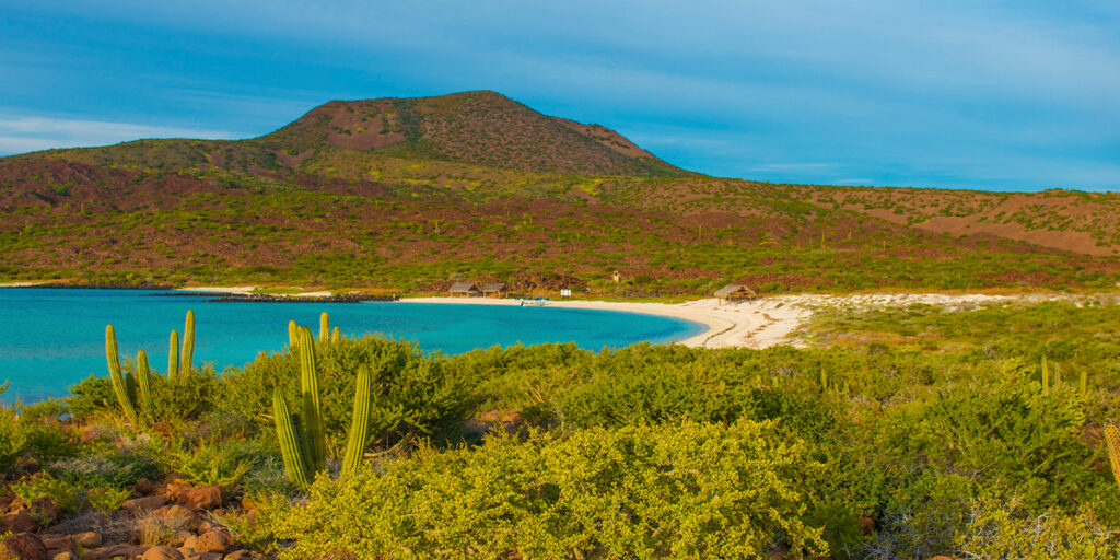 Loreto - The Ocean Foundation