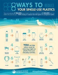Plastic in the Ocean - The Ocean Foundation