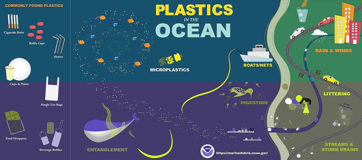 Plastic in the Ocean - The Ocean Foundation