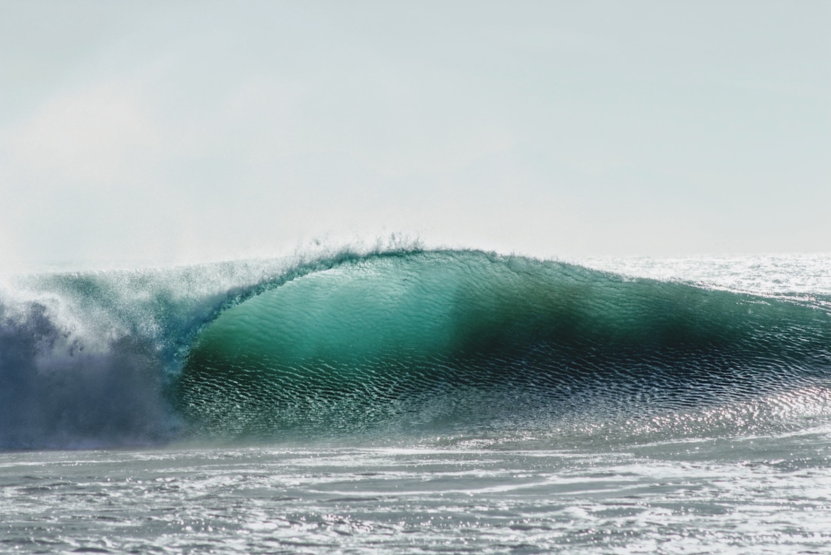 In Gratitude with Optimism - The Ocean Foundation