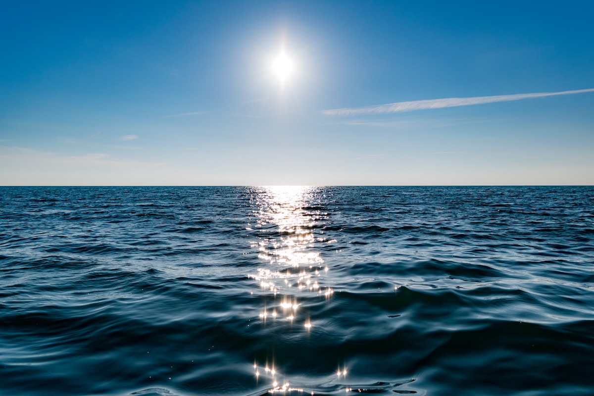 Marine Conservation for the 21st Century - The Ocean Foundation