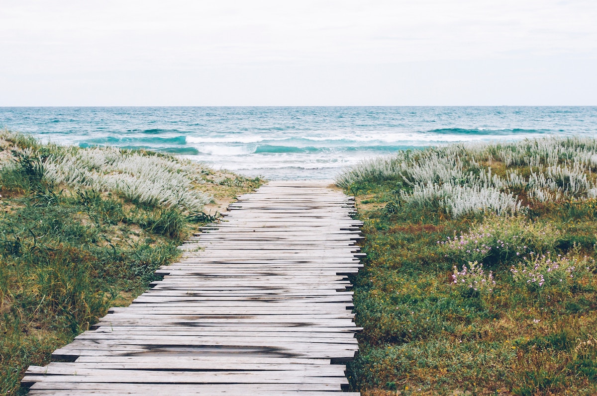 The Ocean Solution - The Ocean Foundation