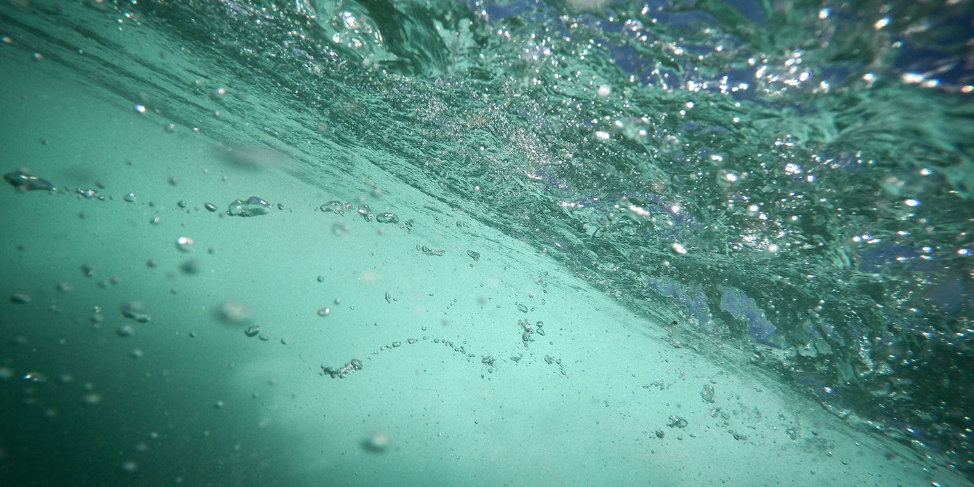 Creating the Network to Forecast Ocean Acidification - The Ocean Foundation