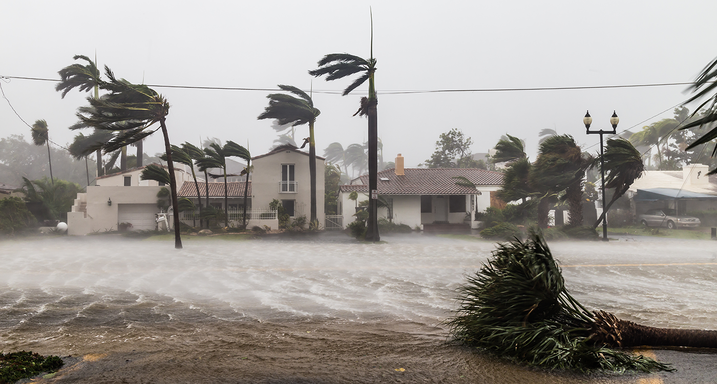Coastal Ecosystems Are Our First Line of Defense Against Hurricanes ...
