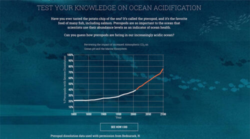 Ocean Acidification Day of Action - The Ocean Foundation