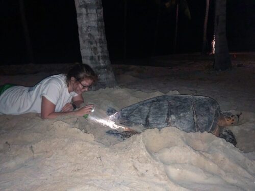 Announcing the 2020 Boyd Lyon Scholar - The Ocean Foundation