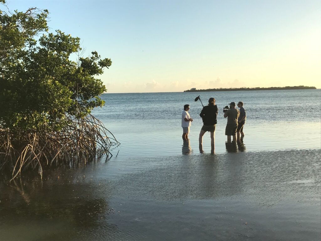 Jobos Bay からの写真 - The Ocean Foundation