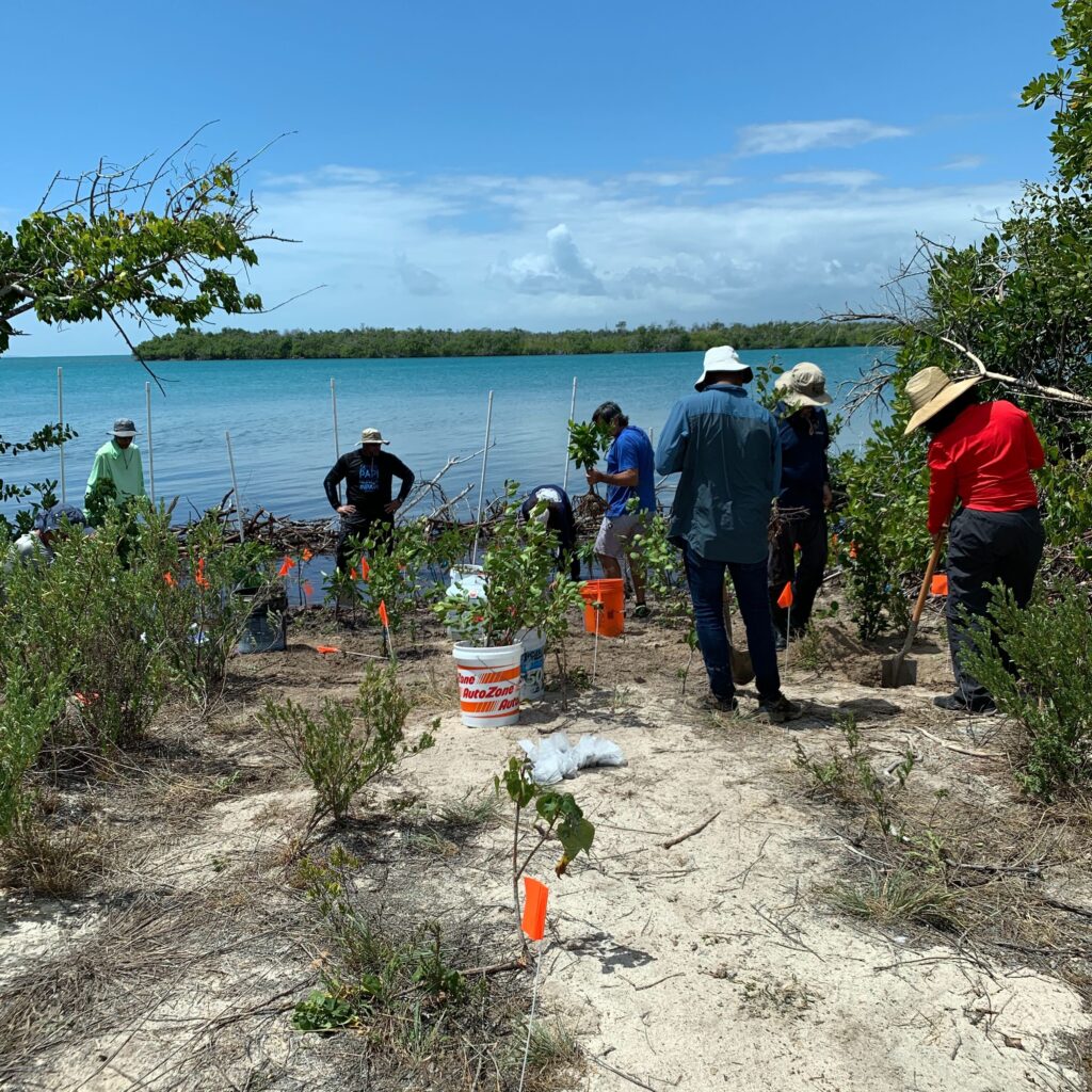 Photos from Jobos Bay - The Ocean Foundation