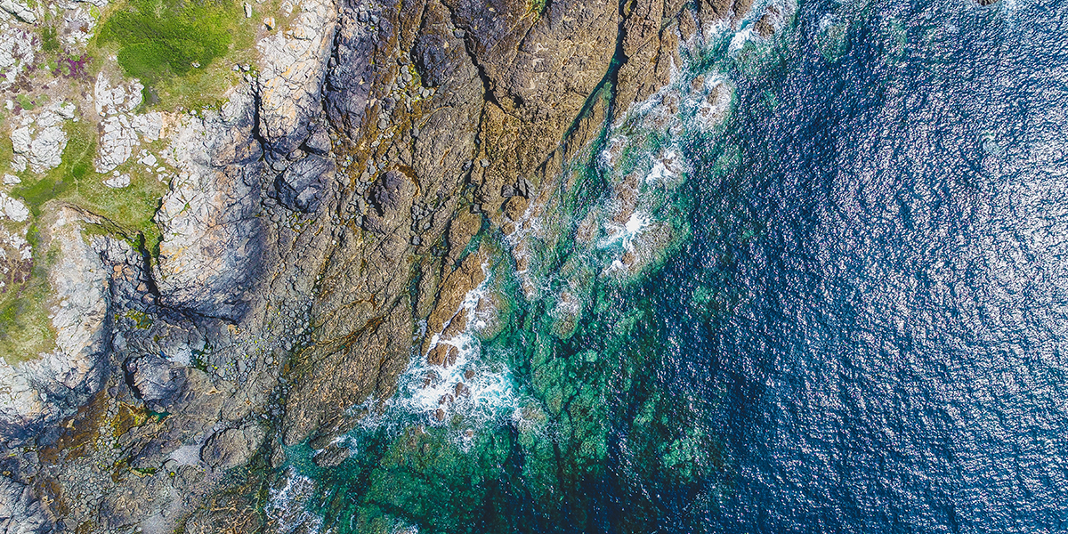 Invest in a Healthy Coastal Ecosystem - The Ocean Foundation
