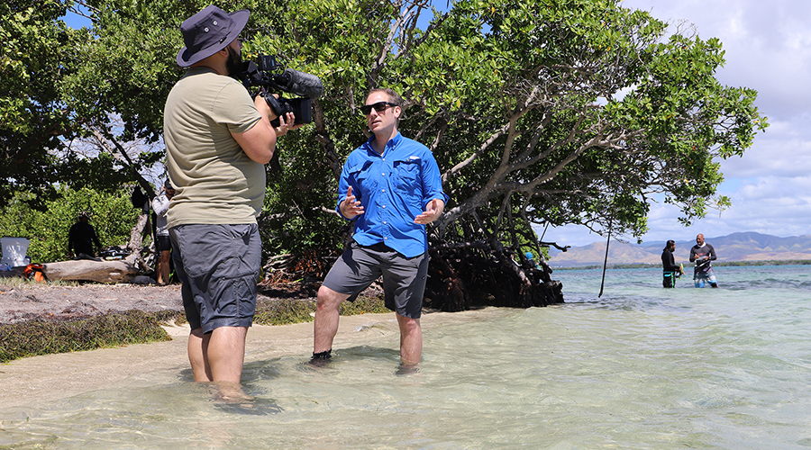 Photos from Jobos Bay - The Ocean Foundation