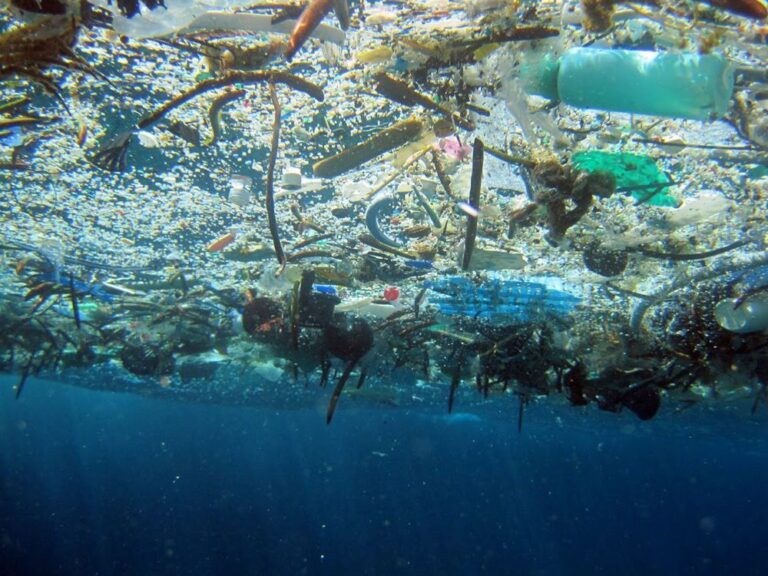 Plastic in the Ocean - The Ocean Foundation