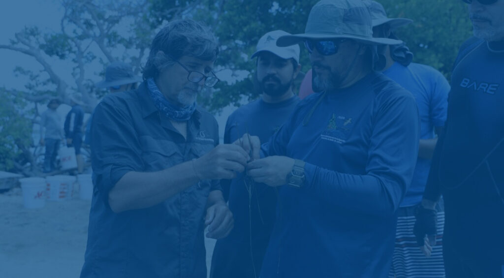 About The Ocean Foundation