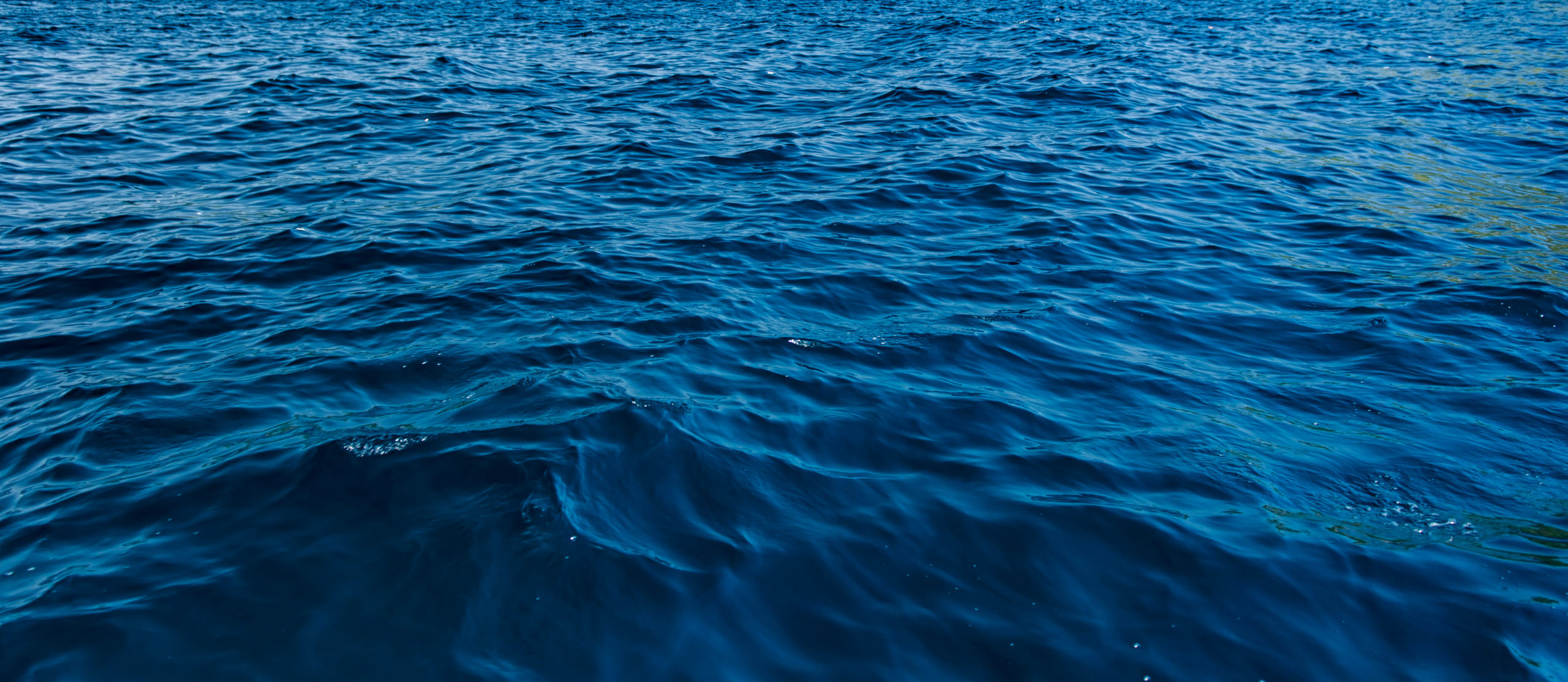 Investing in Ocean Health - The Ocean Foundation