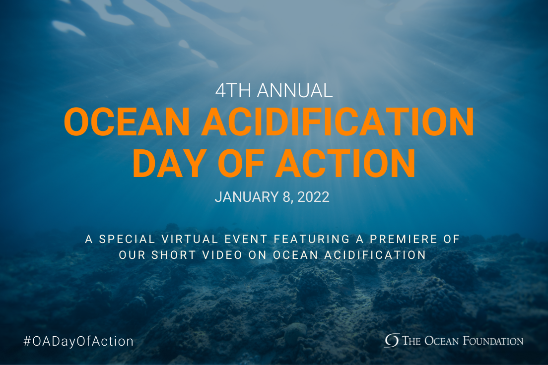 OA Day of Action Press and Social Toolkit - The Ocean Foundation