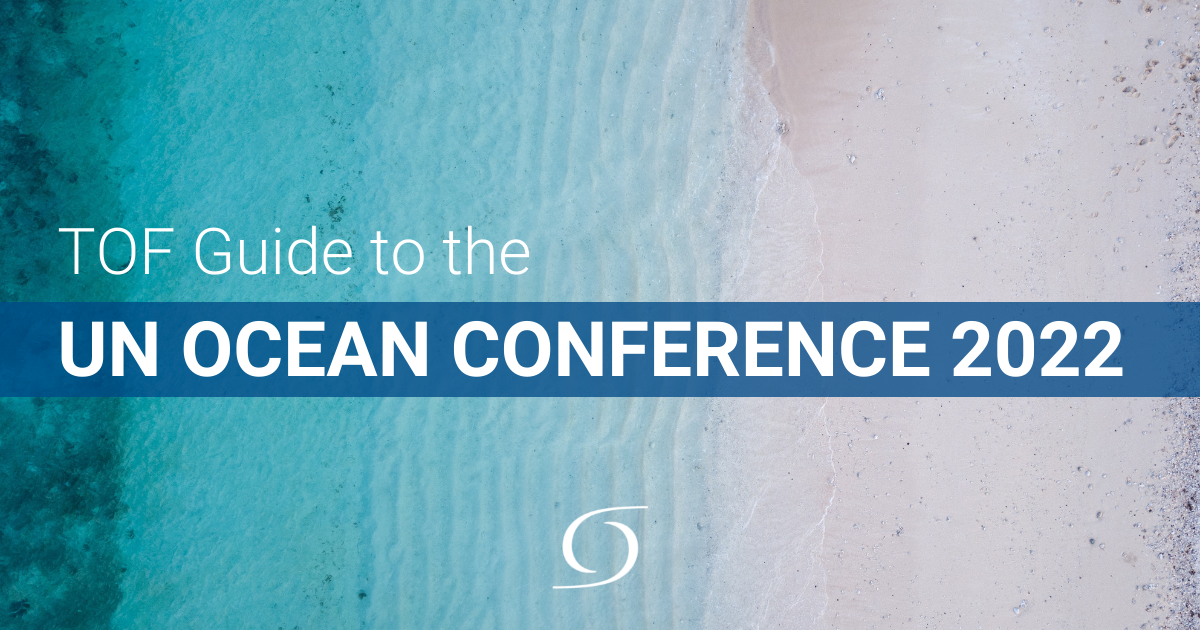 TOF Guide to the UN Ocean Conference 2022 - The Ocean Foundation