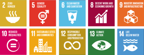 Blue Resilience Initiative - The Ocean Foundation