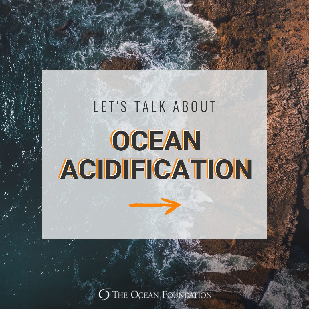 OA Day of Action Press and Social Toolkit - The Ocean Foundation
