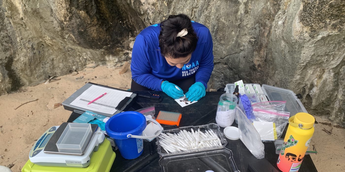 Announcing the 2022 Boyd Lyon Scholar - The Ocean Foundation