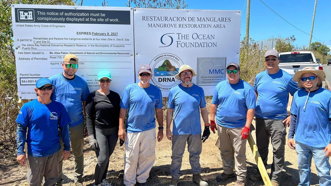 The Largest Mangrove Restoration Project in the United States
