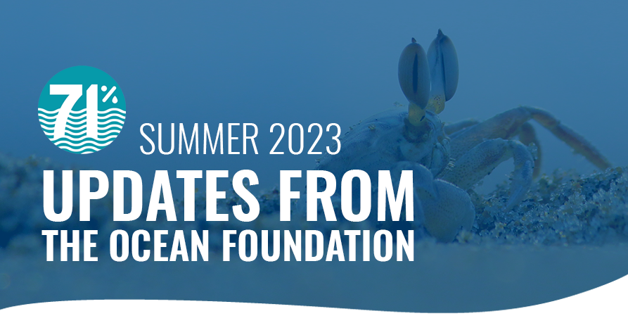 Subscribe - The Ocean Foundation