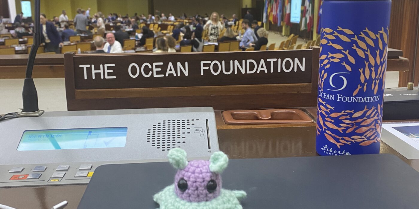 No-Mining November: The Ocean Foundation’s ISA Council Check-In - The ...