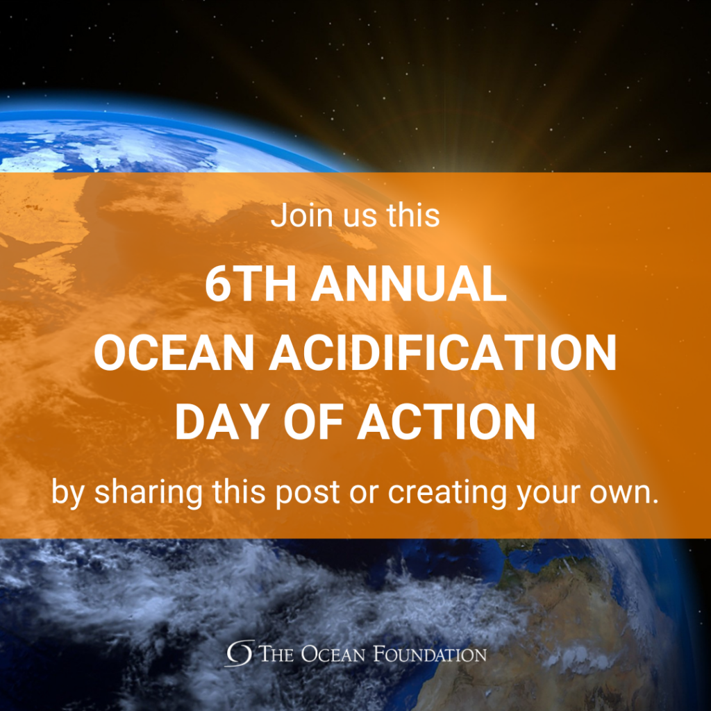 OA Day of Action Press and Social Toolkit - The Ocean Foundation