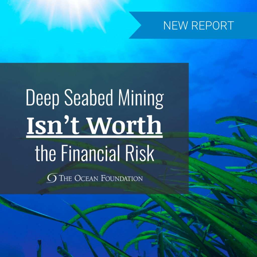 Deep Seabed Mining Press & Social Media Toolkit - The Ocean Foundation