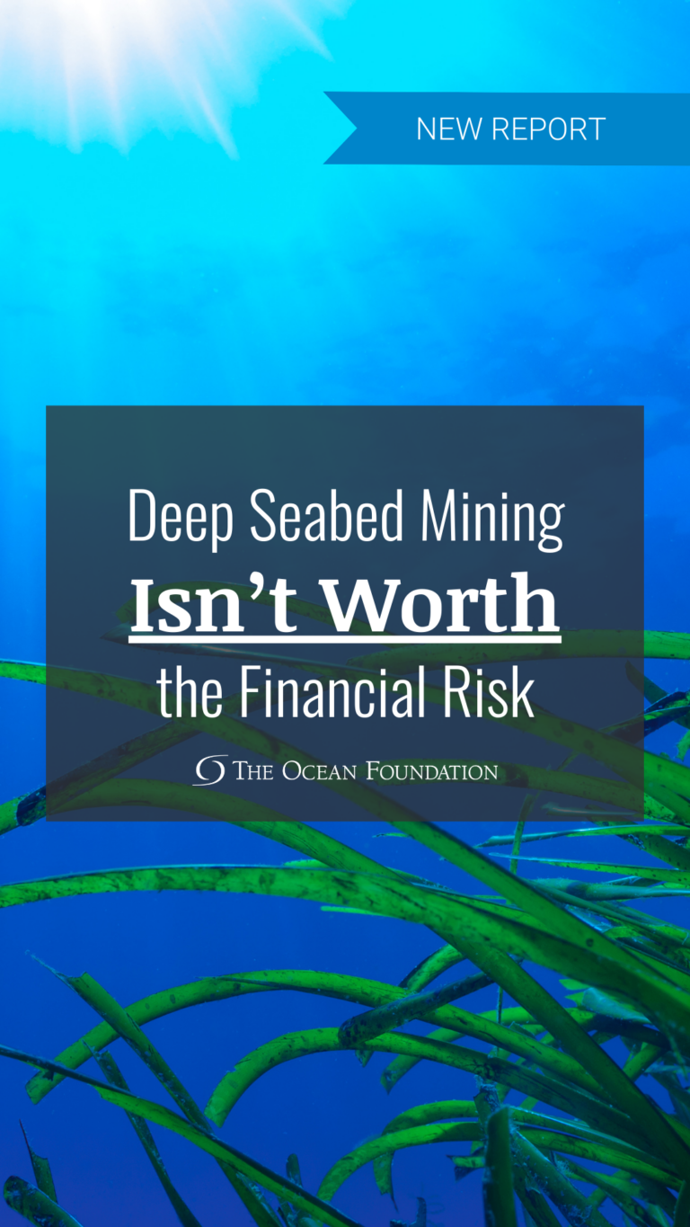 Deep Seabed Mining Press & Social Media Toolkit - The Ocean Foundation