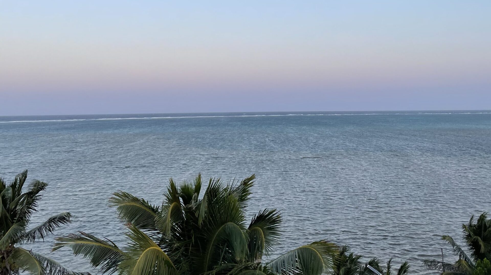 Community-led Mangrove Restoration in Xcalak, Mexico - The Ocean Foundation