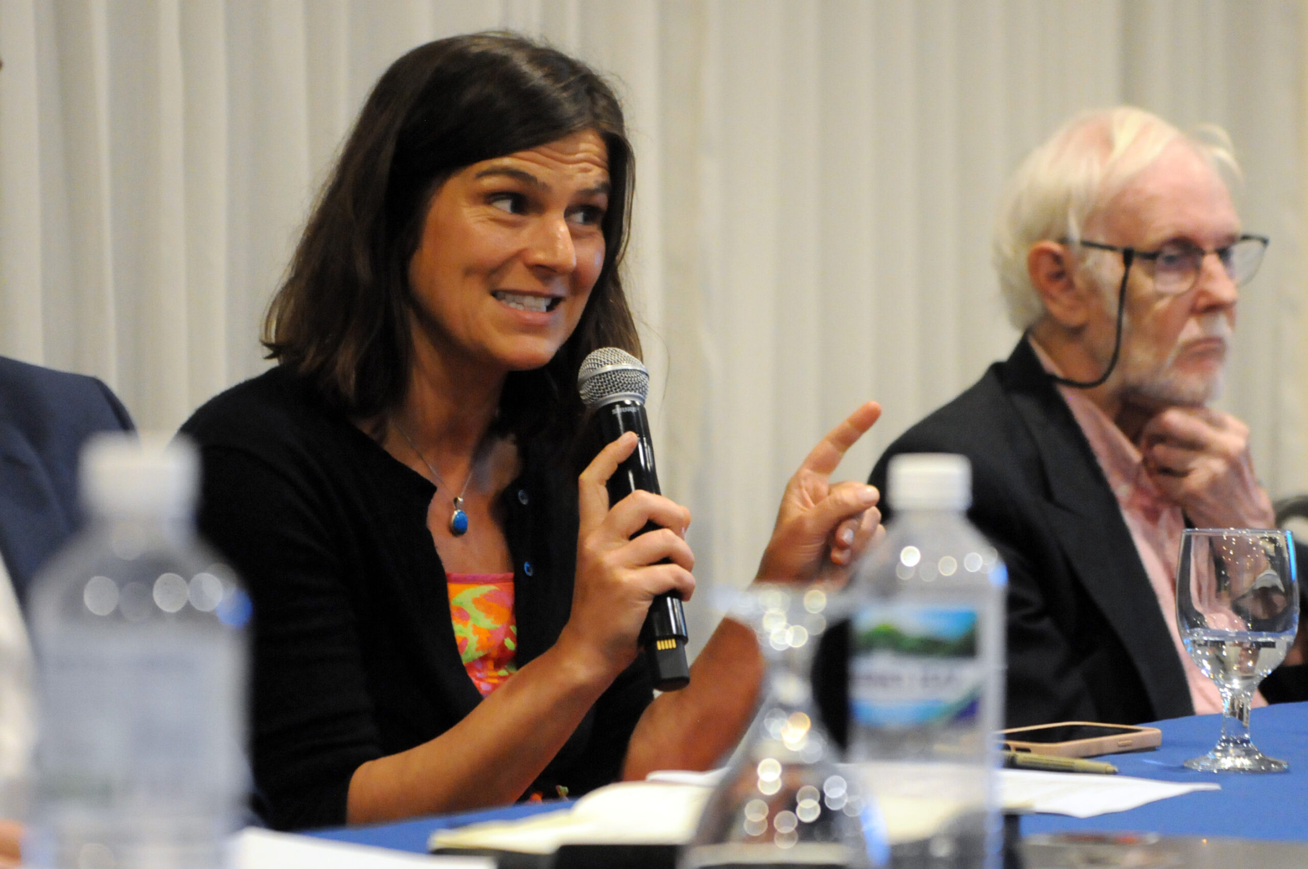 Kua kaha ano te reo? Mautohe, Nga Reo Taketake, me te keehi Pakihi mo DSM i nga Hui ISA o Maehe ...