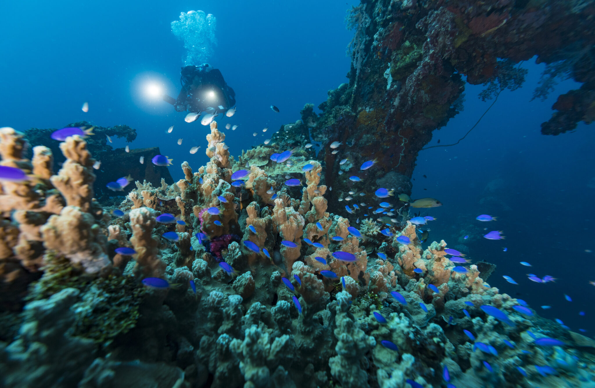 Dive into Underwater Cultural Heritage - The Ocean Foundation