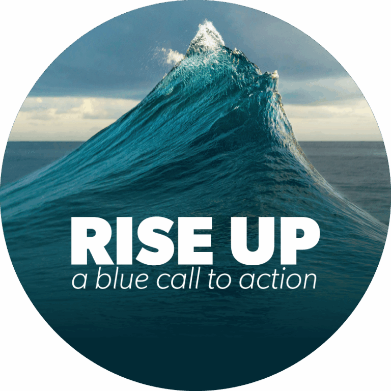 RISE UP - Quỹ Đại Dương