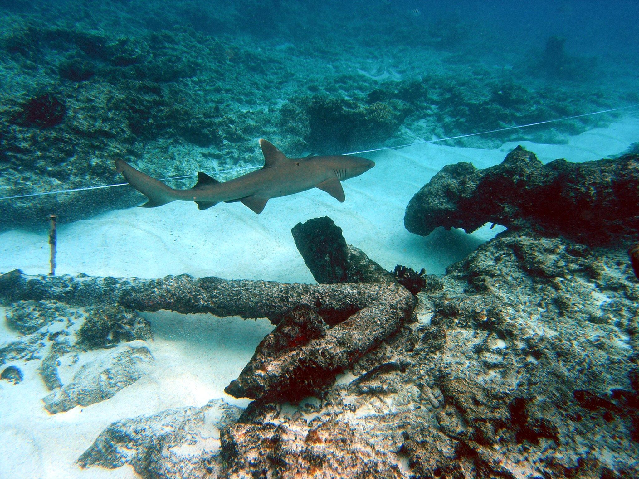 Ocean Heritage Initiative - The Ocean Foundation
