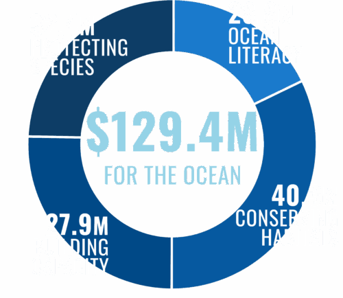 The Ocean Foundation - Serving Global Ocean Environments